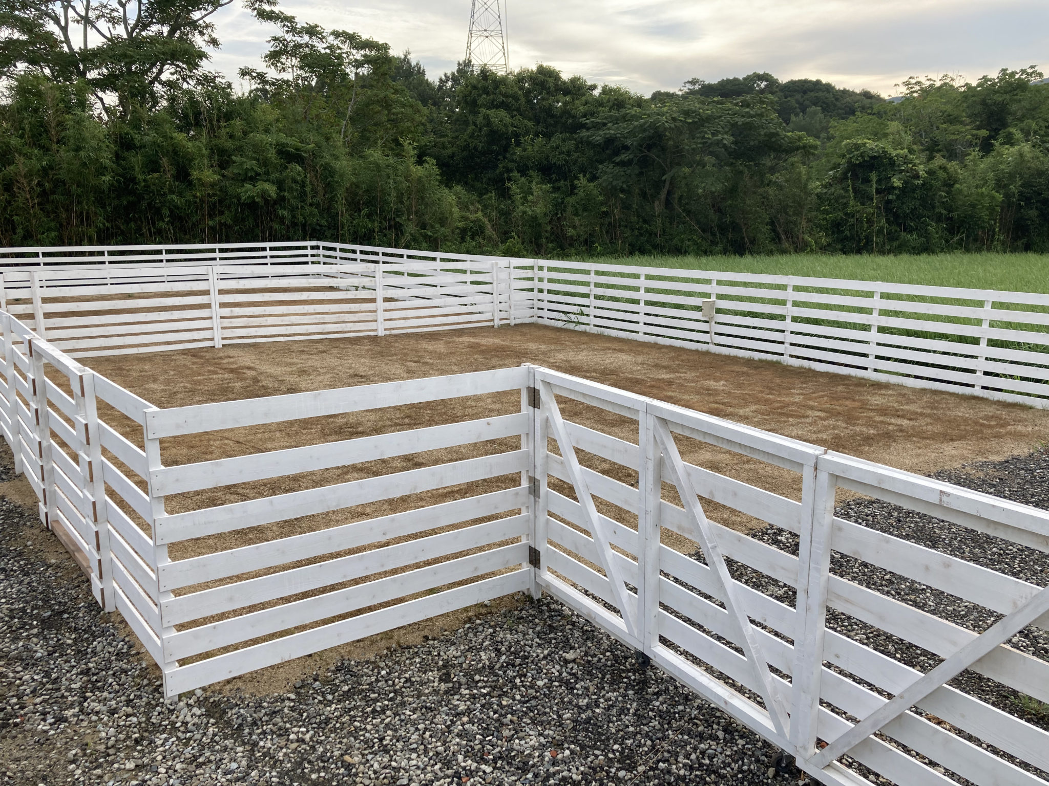 サイト - THE CHILL CAMP