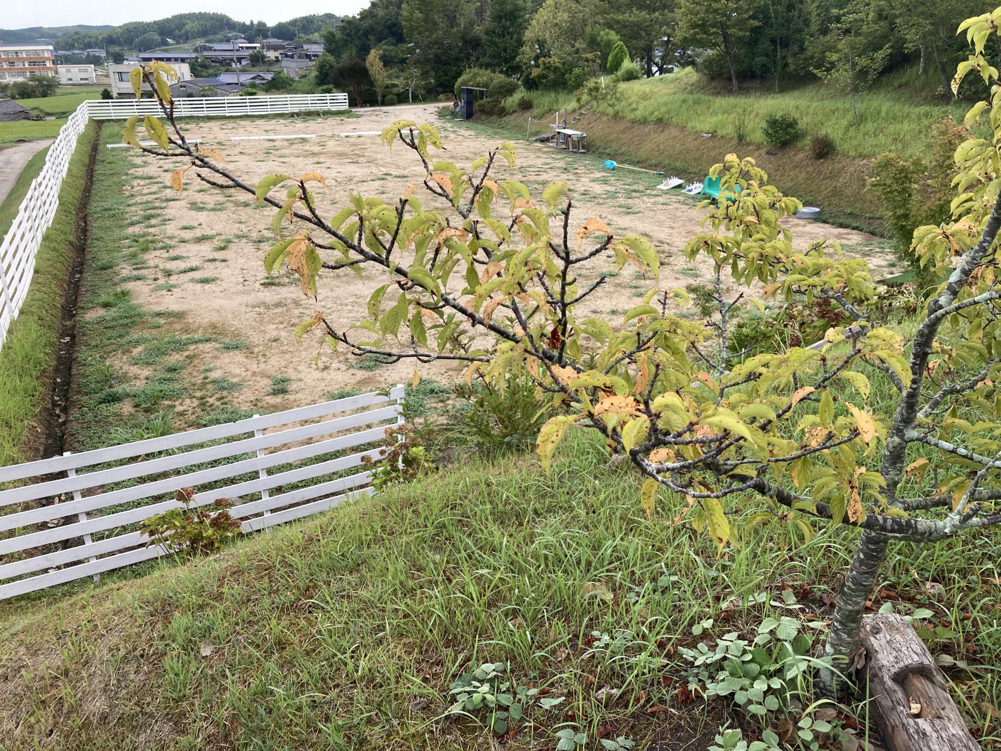 サイト - THE CHILL CAMP