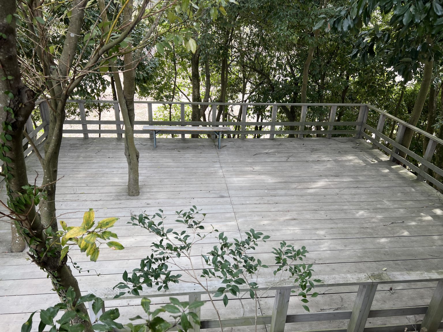 サイト - THE CHILL CAMP