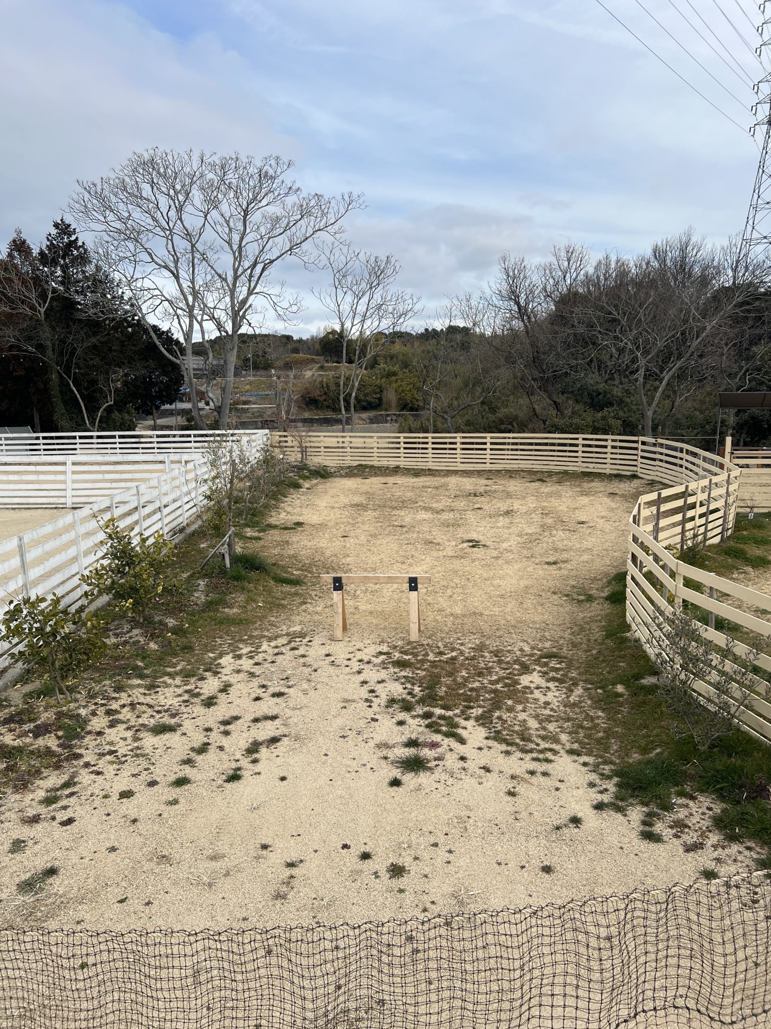 サイト - THE CHILL CAMP